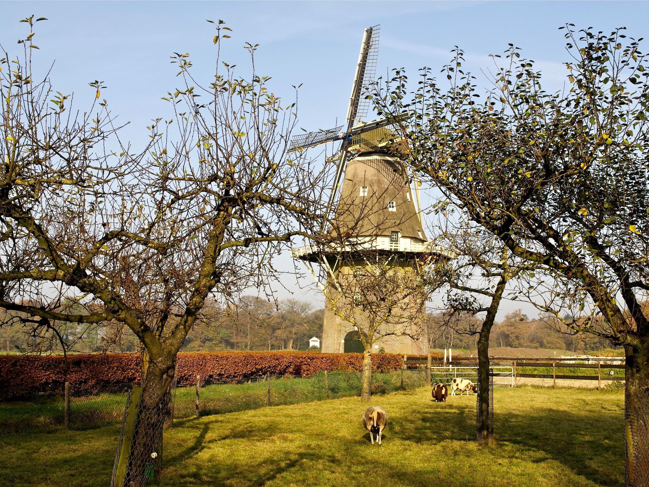 Logis Herberg De Klomp, Hôtel Logis VILSTEREN, living PROVINCIE OVERIJSSEL